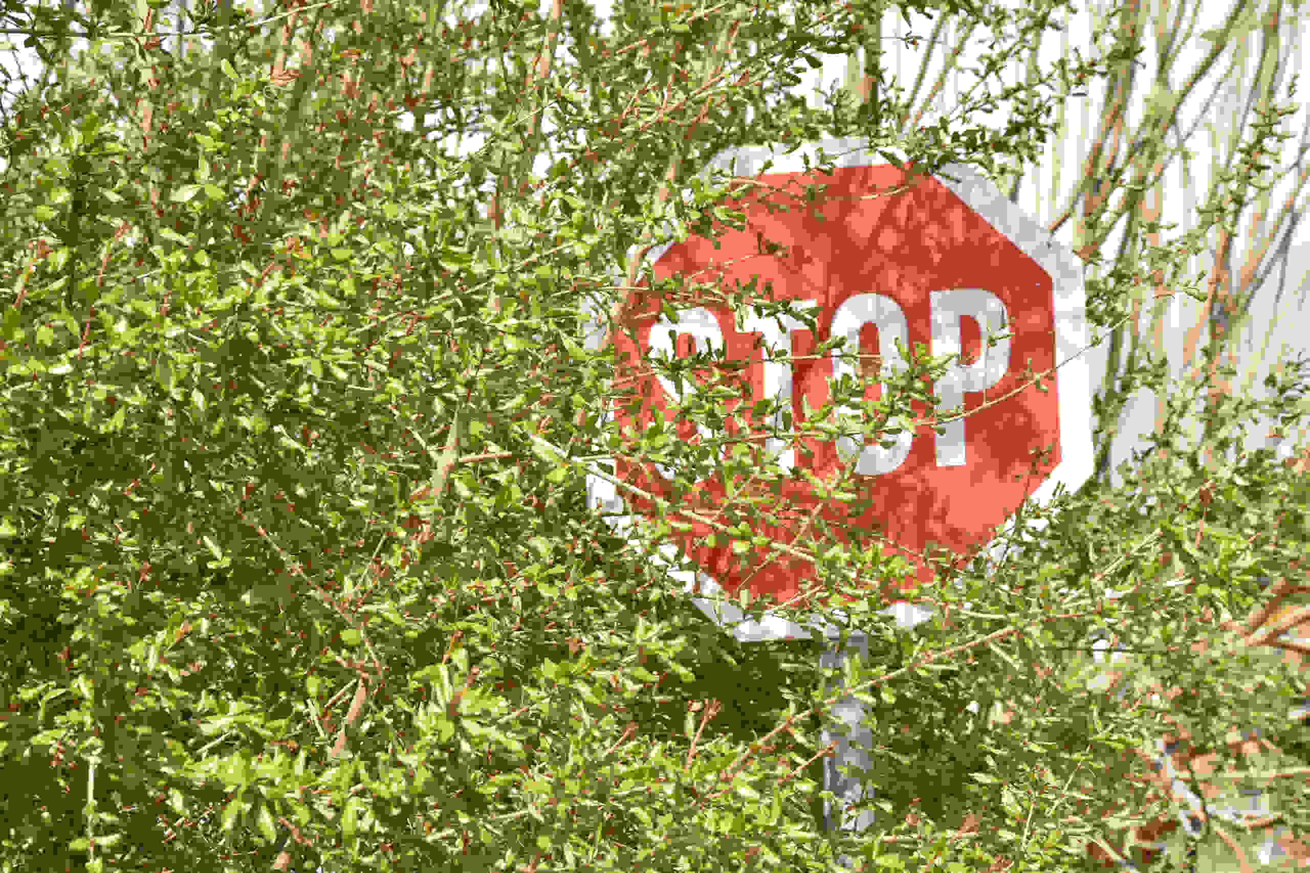 An Obstruction Caused My Car Accident | Johnson Garcia LLP